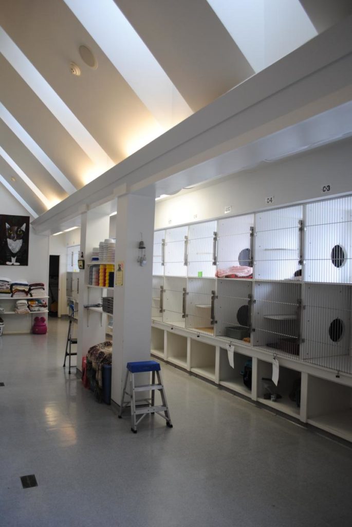 Humane Society of Loudoun County Old Mill Boarding Kennel - Our ...